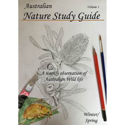 Nature Study Australia – Nature Science for Aussie Families