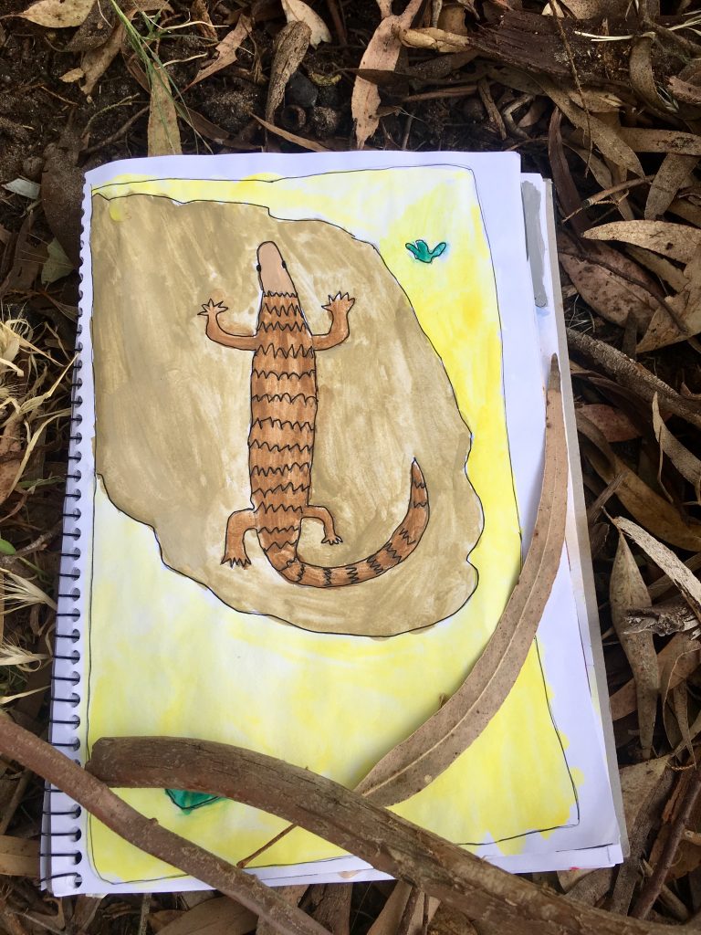 Stumpy-Tailed Skinks