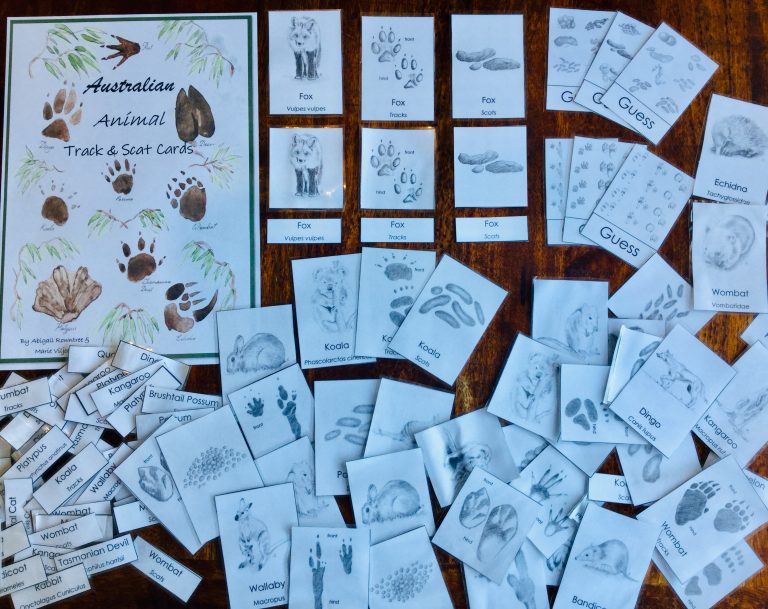 Identification Cards | Australian Animal Track & Scat Cards
