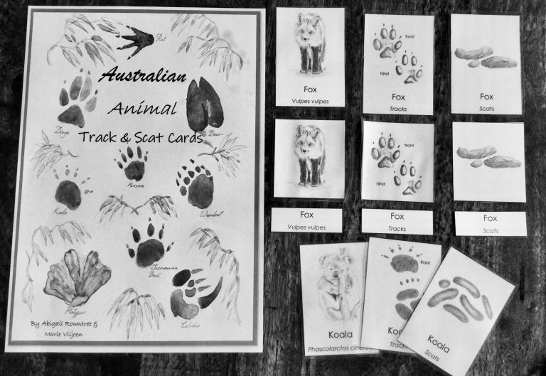 Identification Cards | Australian Animal Track & Scat Cards
