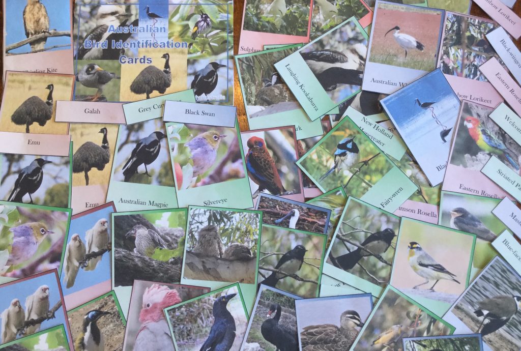 Identification Cards | Australian Birds