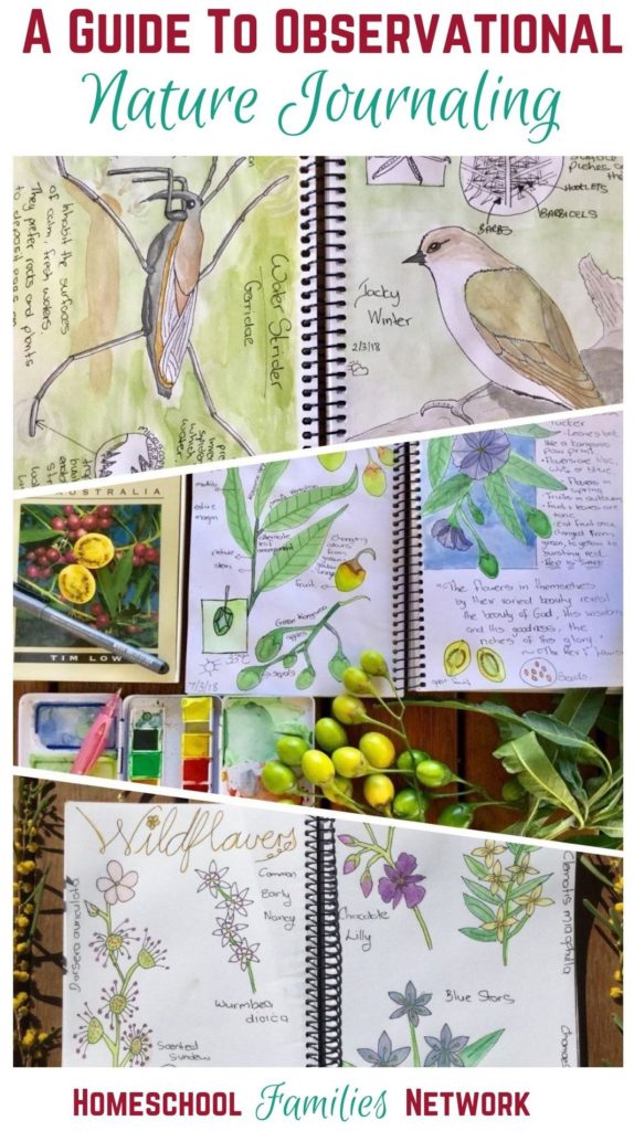 A Guide to Observational Nature Journaling