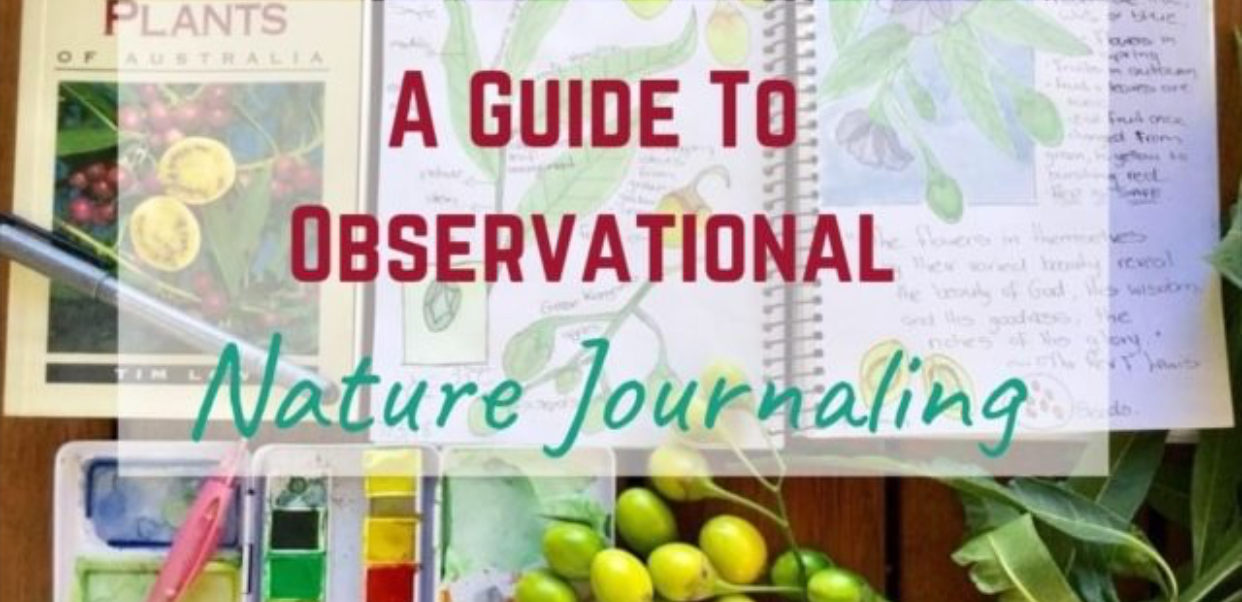 A Guide to Observational Nature Journaling