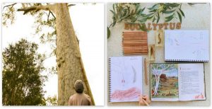 Easy Backyard Nature Study