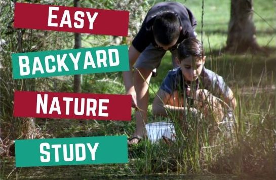 Easy Backyard Nature Study