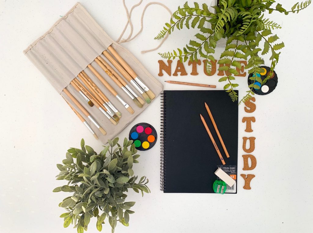 Easy Backyard Nature Study