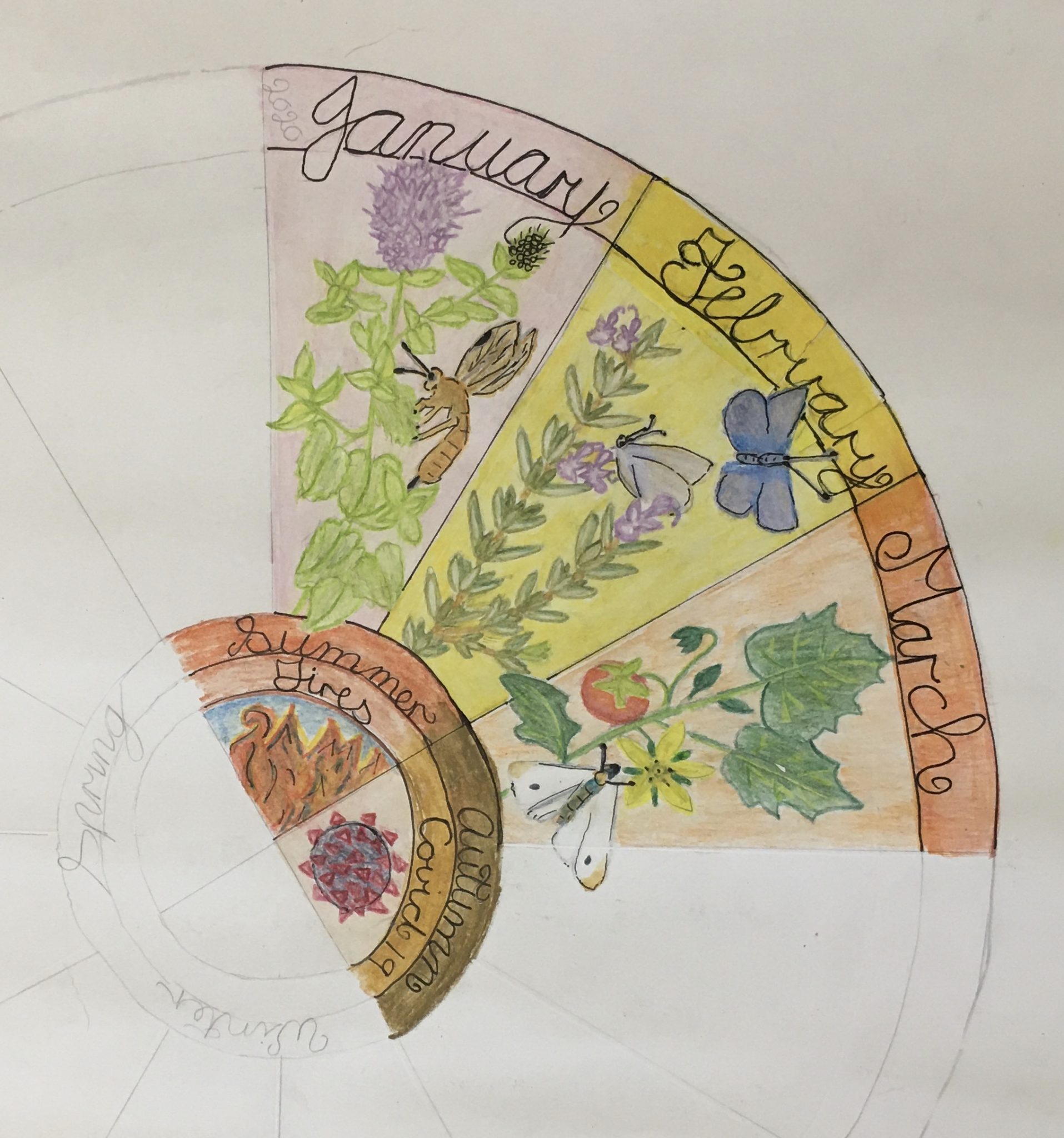 Backyard Phenology Wheel | March