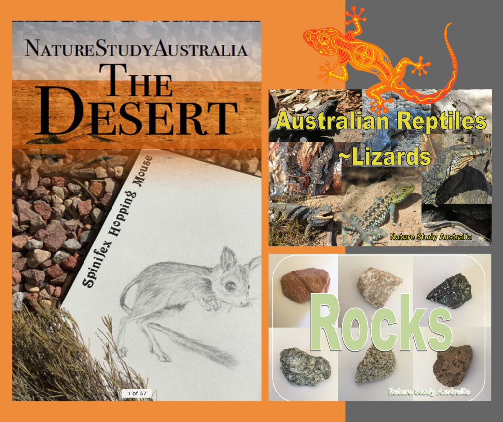 Australian Desert Nature Study Guide