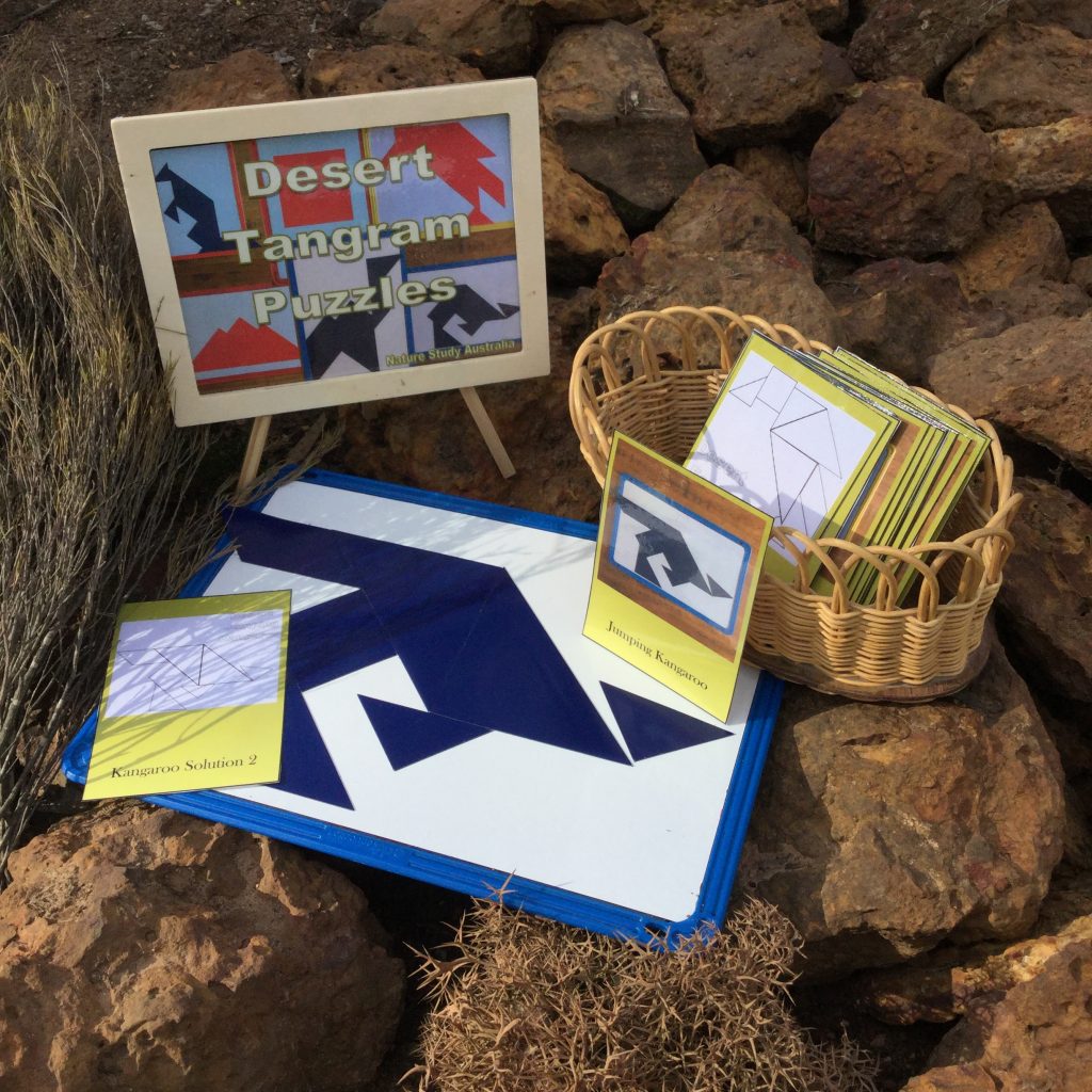 Australian Desert Nature Study & Math in Nature: Area & Perimeter