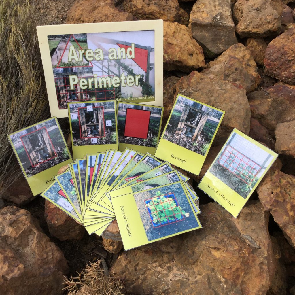 Australian Desert Nature Study & Math in Nature: Area & Perimeter