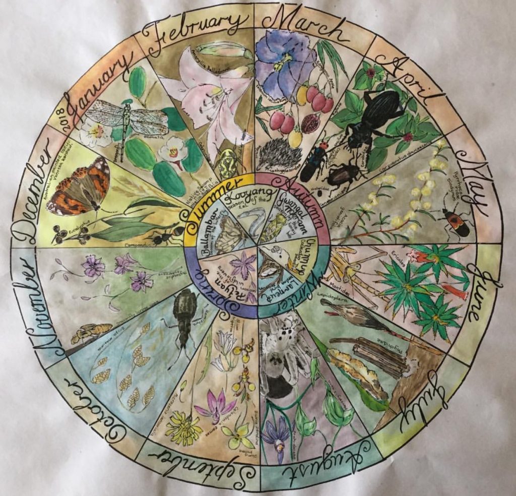 A Handbook for Amy Mack’s A Bush Calendar: Exploring Nature with Living ...