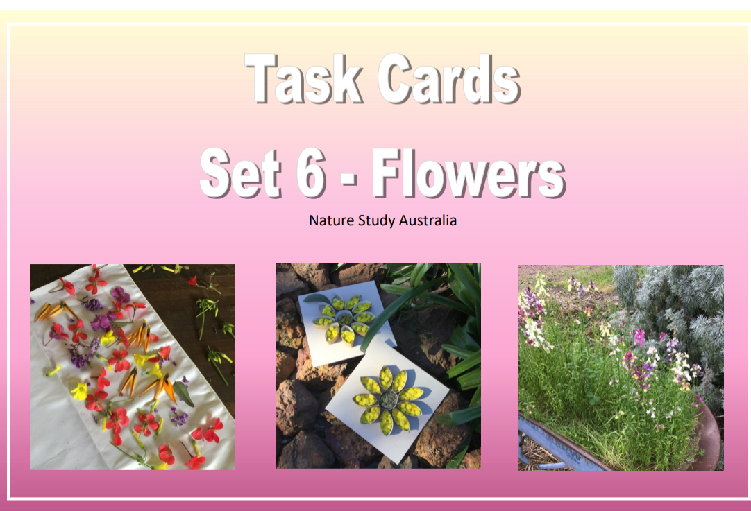 Scout Your District | Flowers