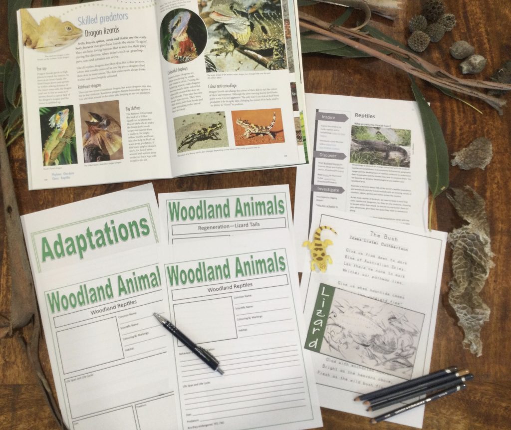 Dry Forest & Woodlands