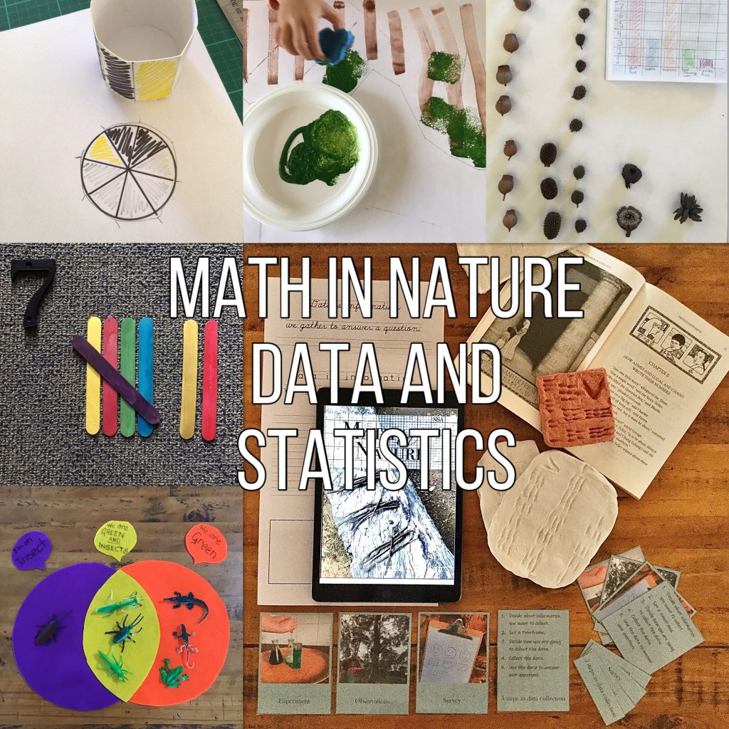 Australian Dry Forest & Woodland Nature Study & Math in Nature: Data ...