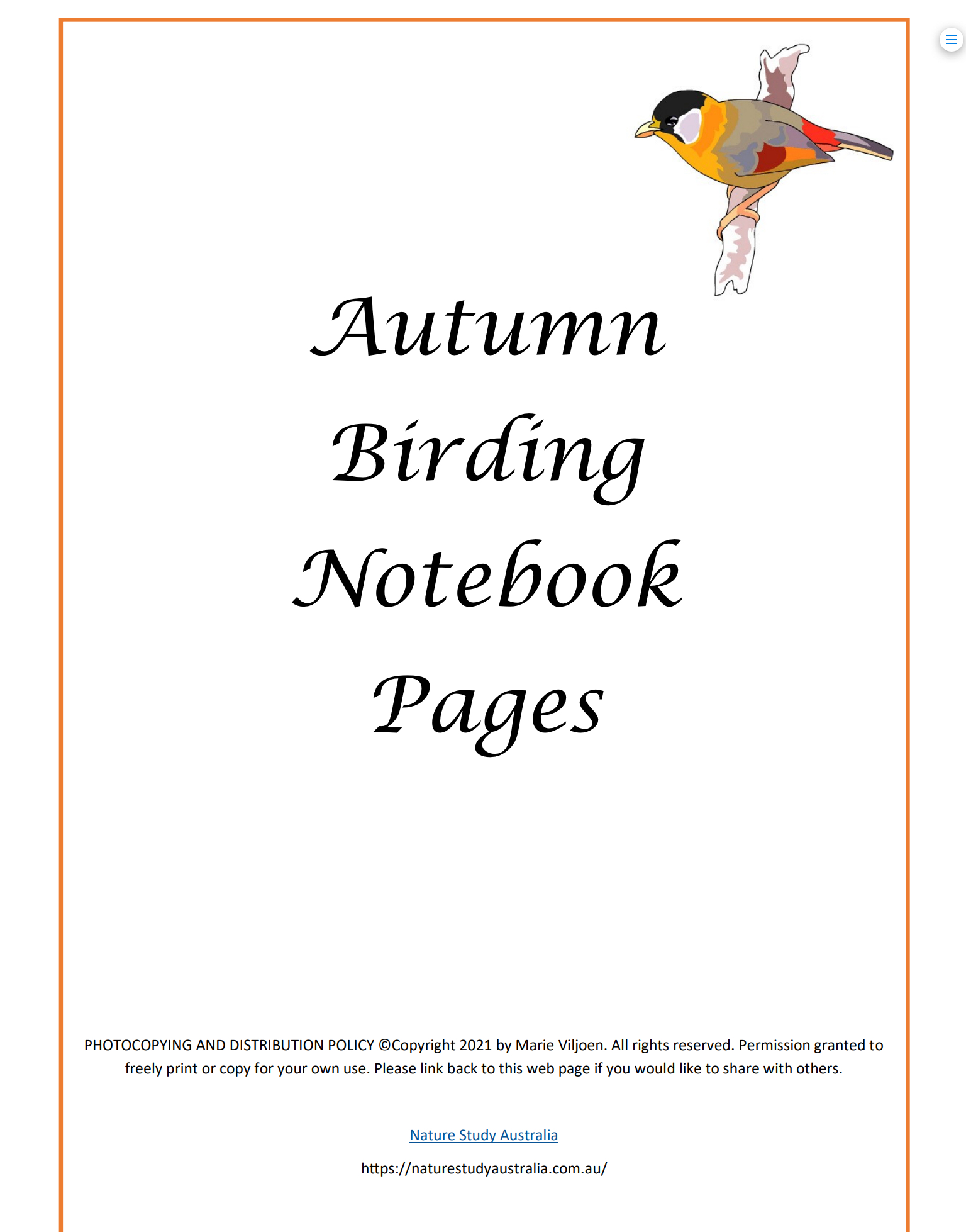 Autumn Birding: What you need to know