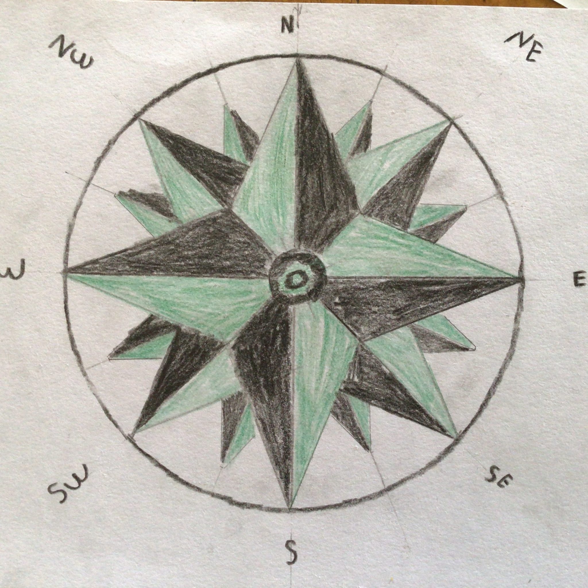 Do Birds Have an In-Built Compass