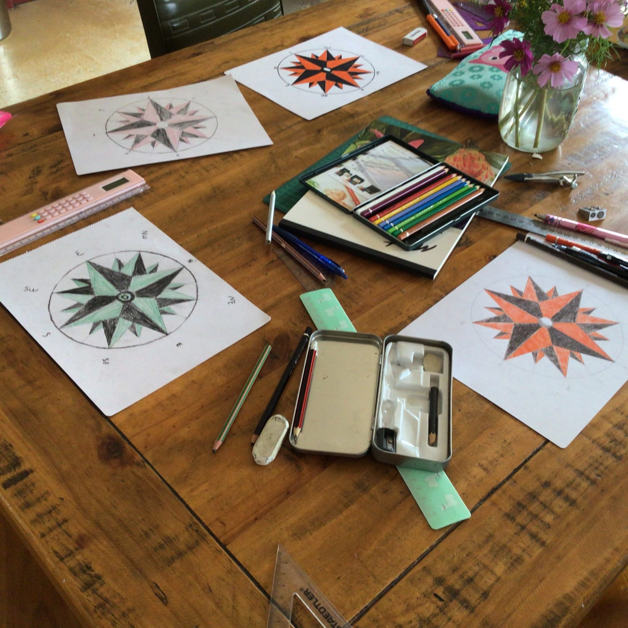 Do Birds Have an In-Built Compass