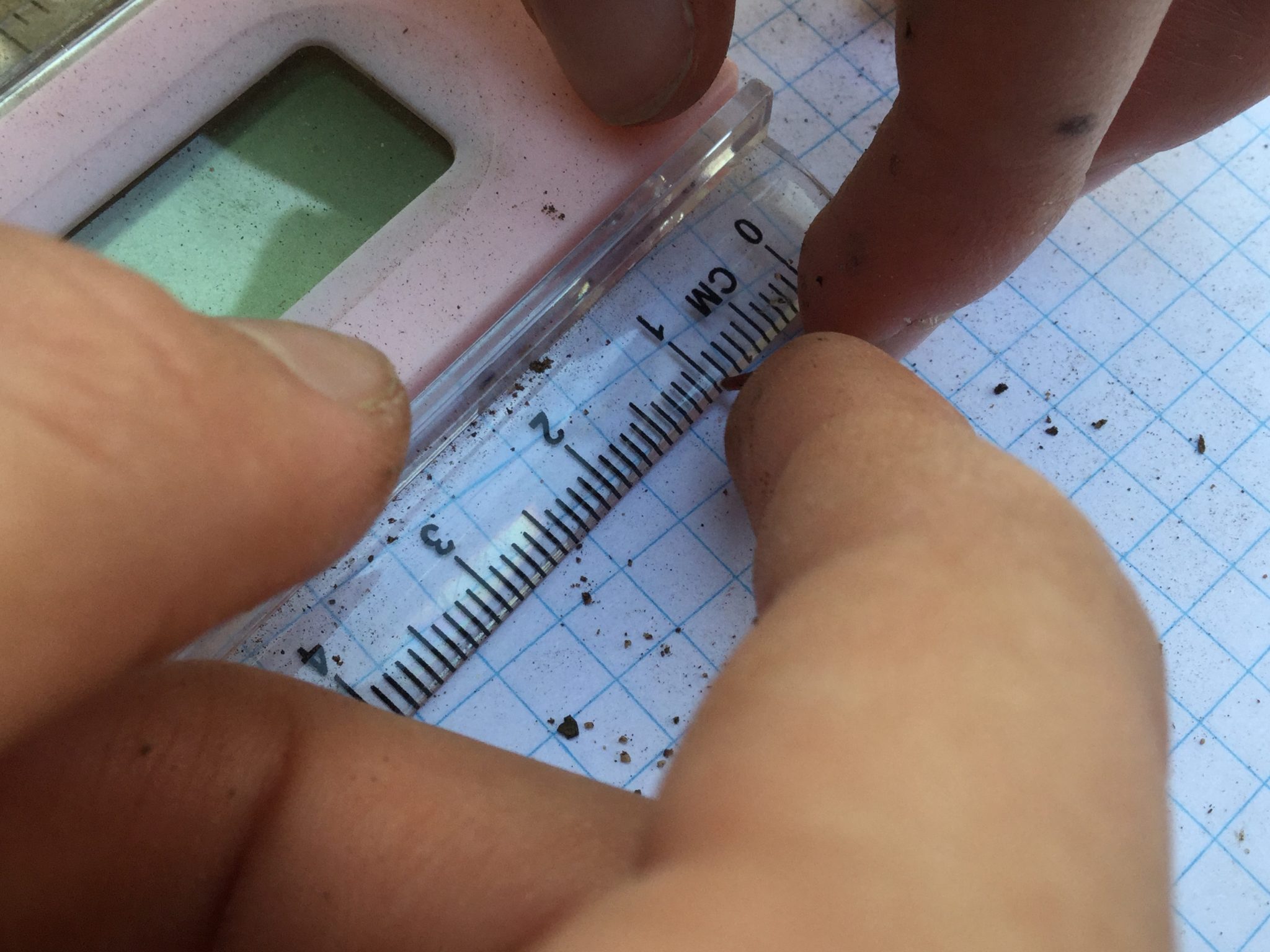 Measuring Earthworms