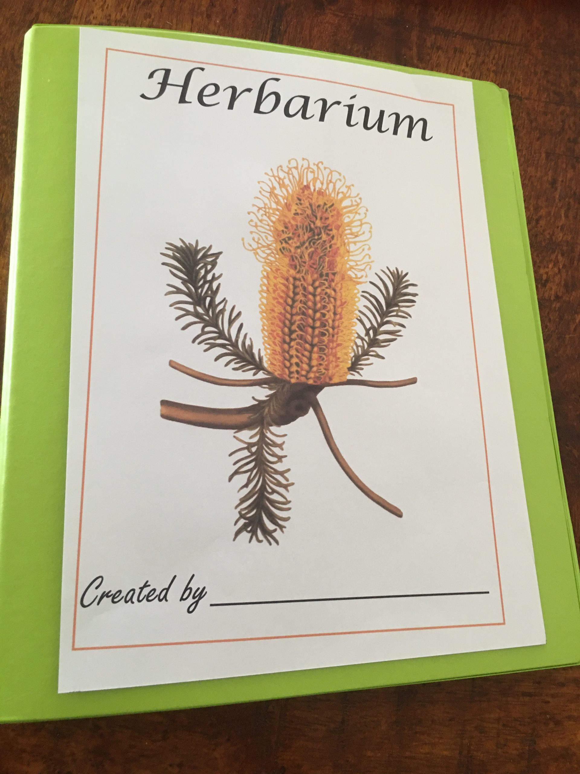 Make Your Own Herbarium