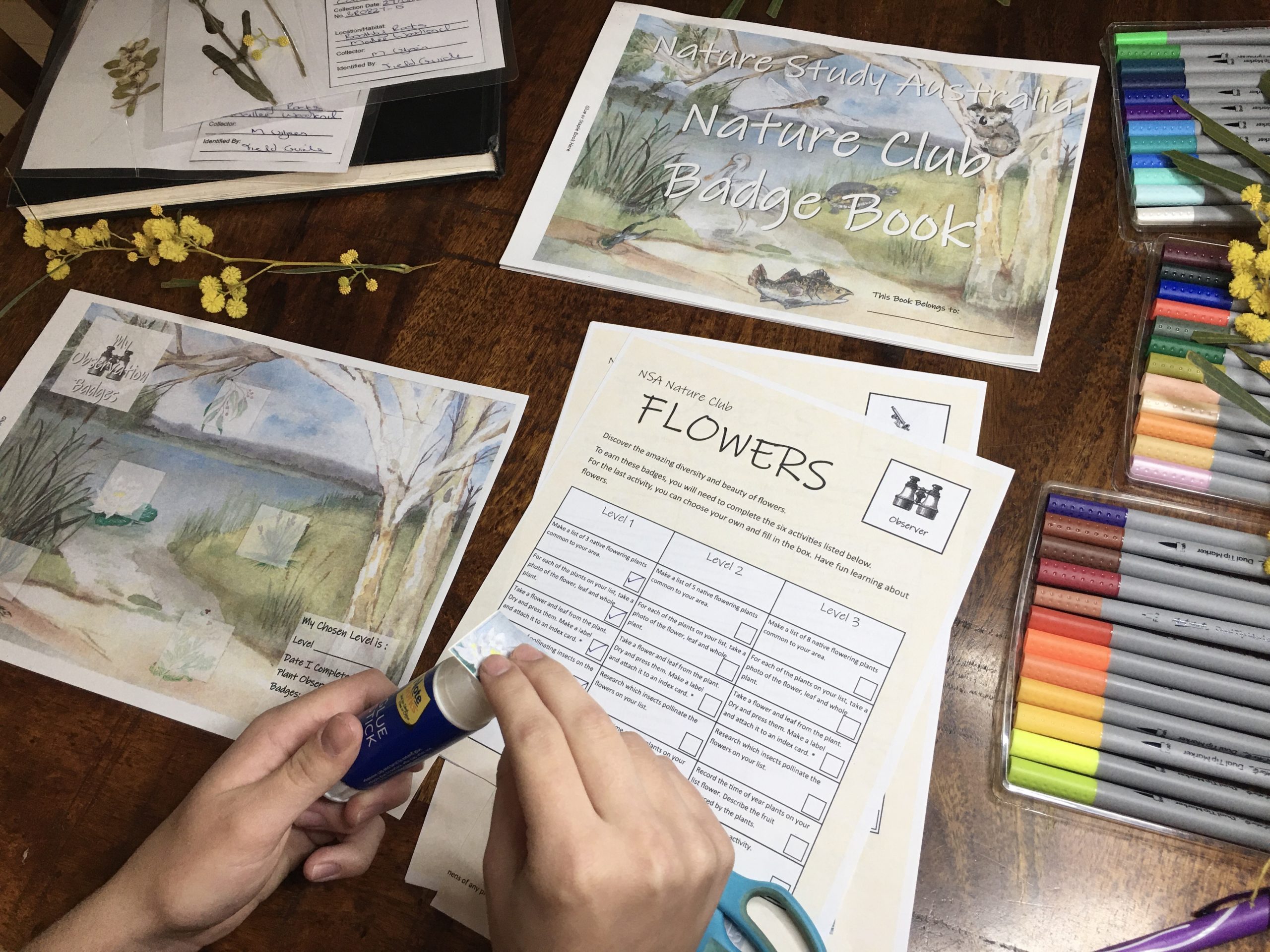 Flower Observer: Shapes