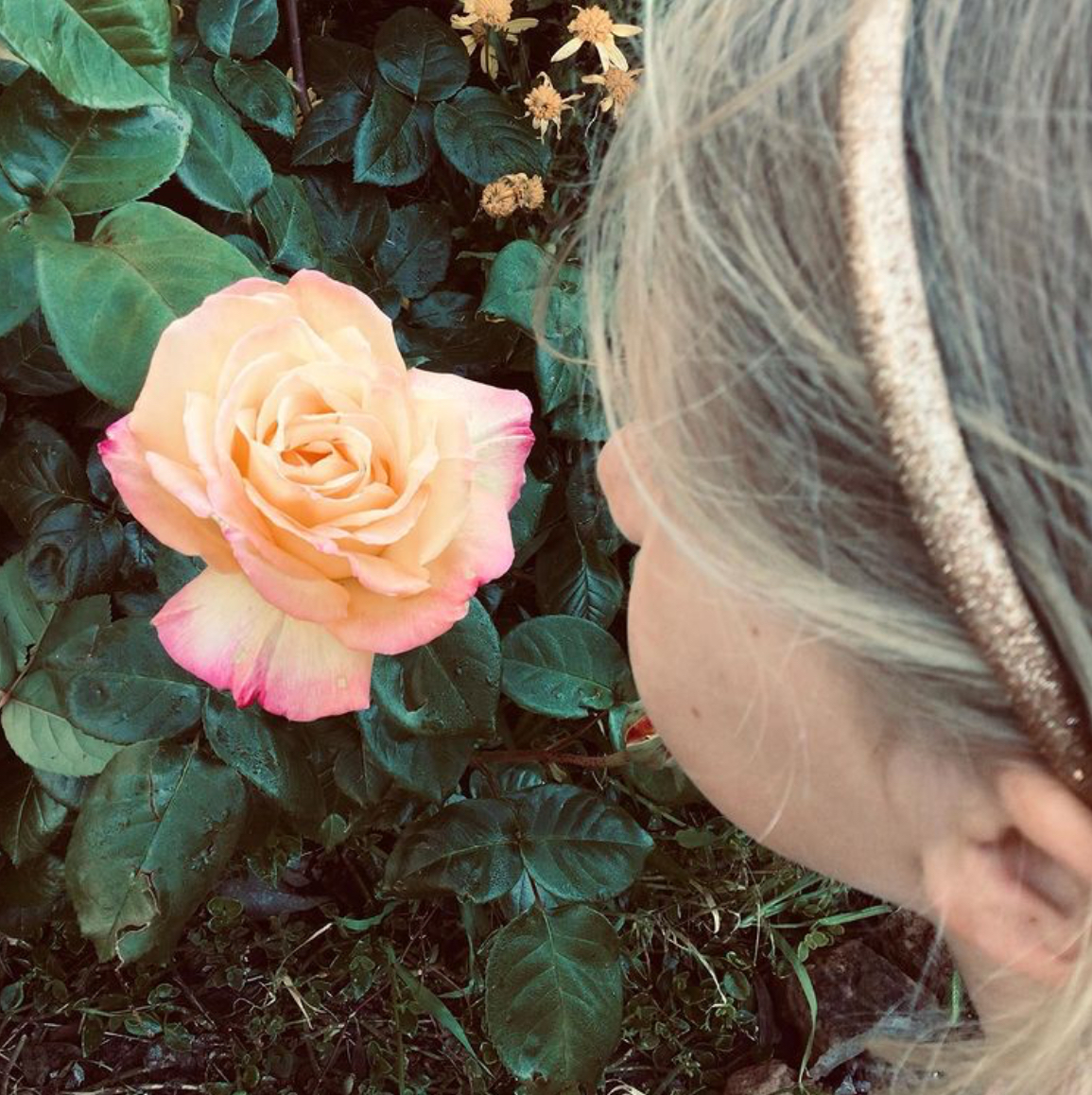 Spring Poetry + Math
