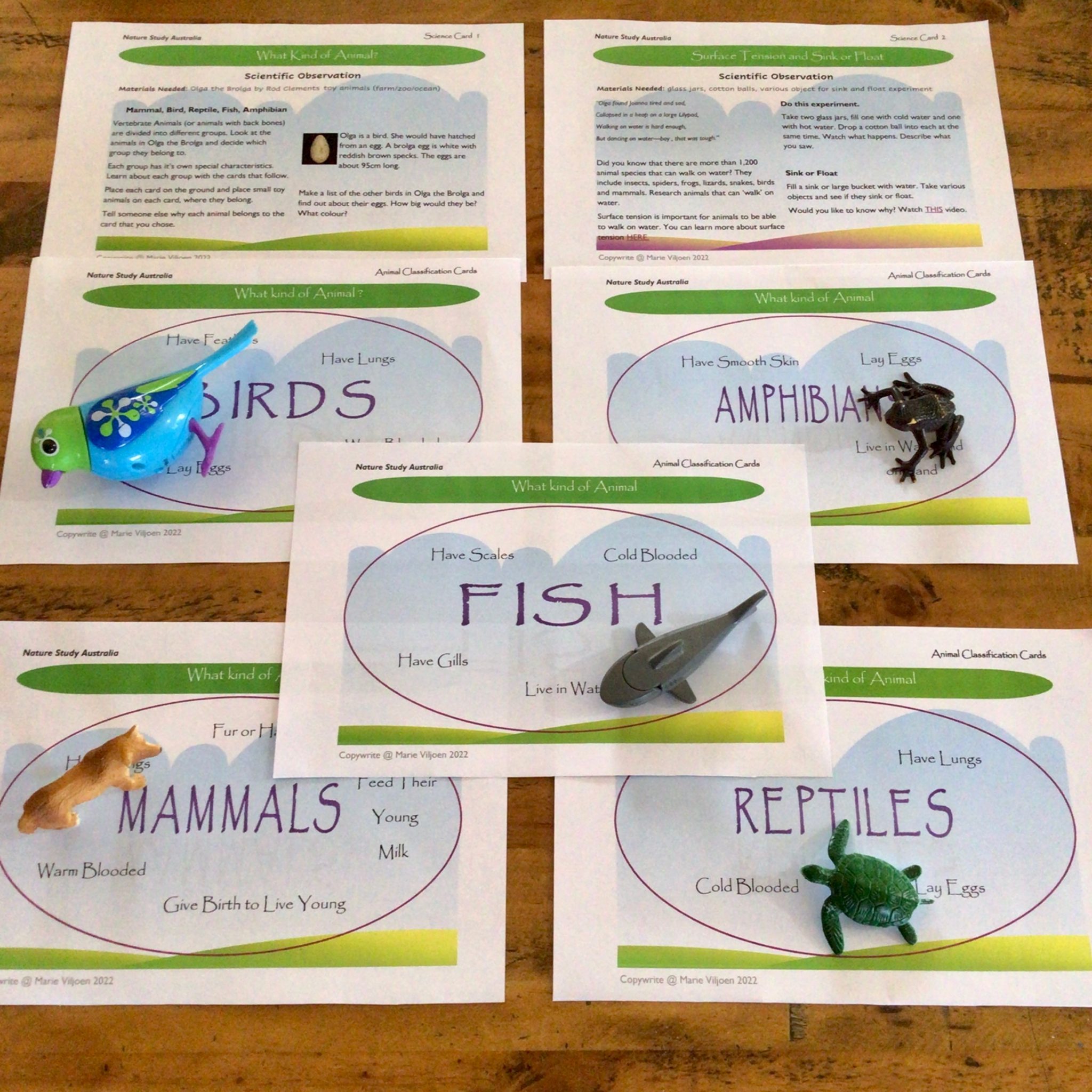 Book Pack | Olga the Brolga