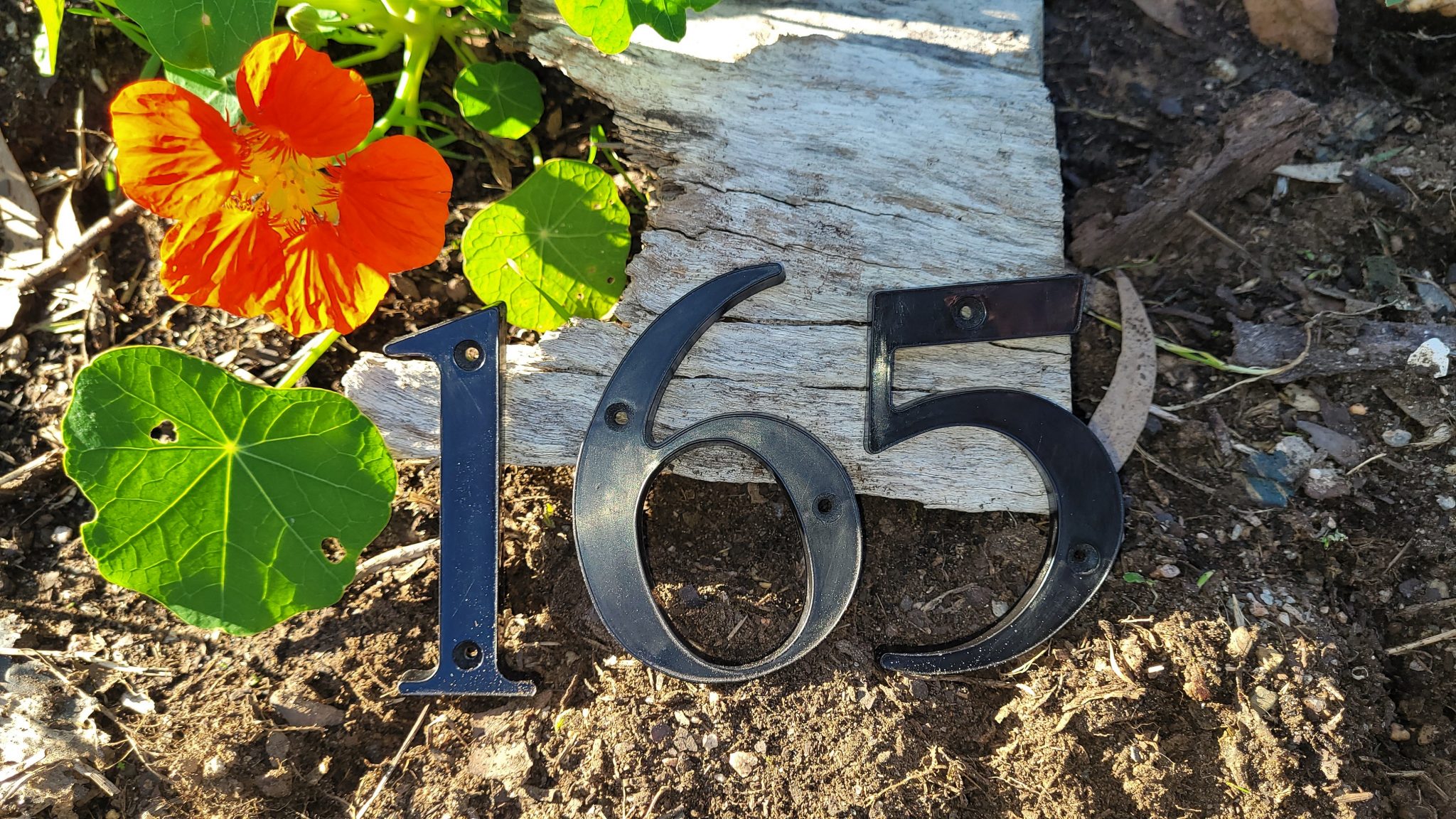 Playful Math Carnival #165