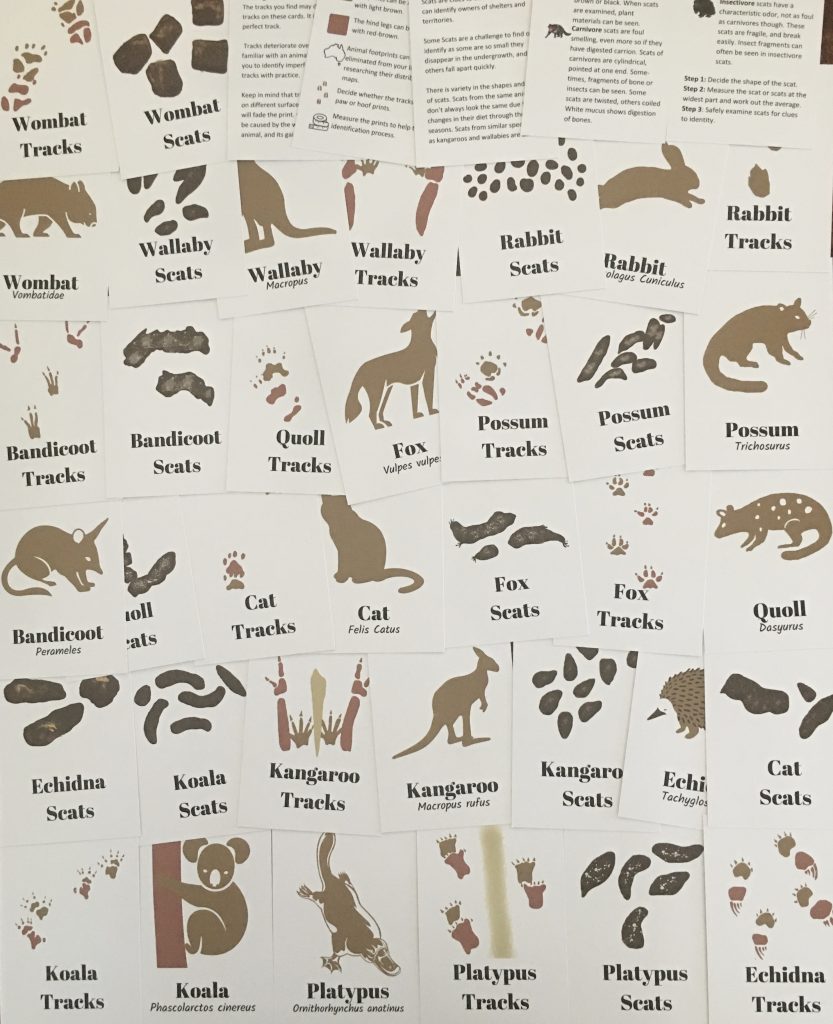 Australian Animal Track and Scat Identification Cards