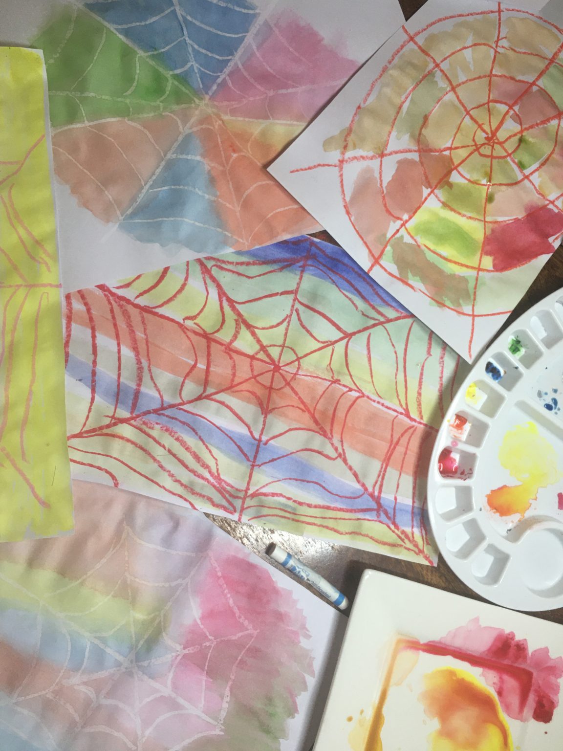 How do Spiders Make Webs?