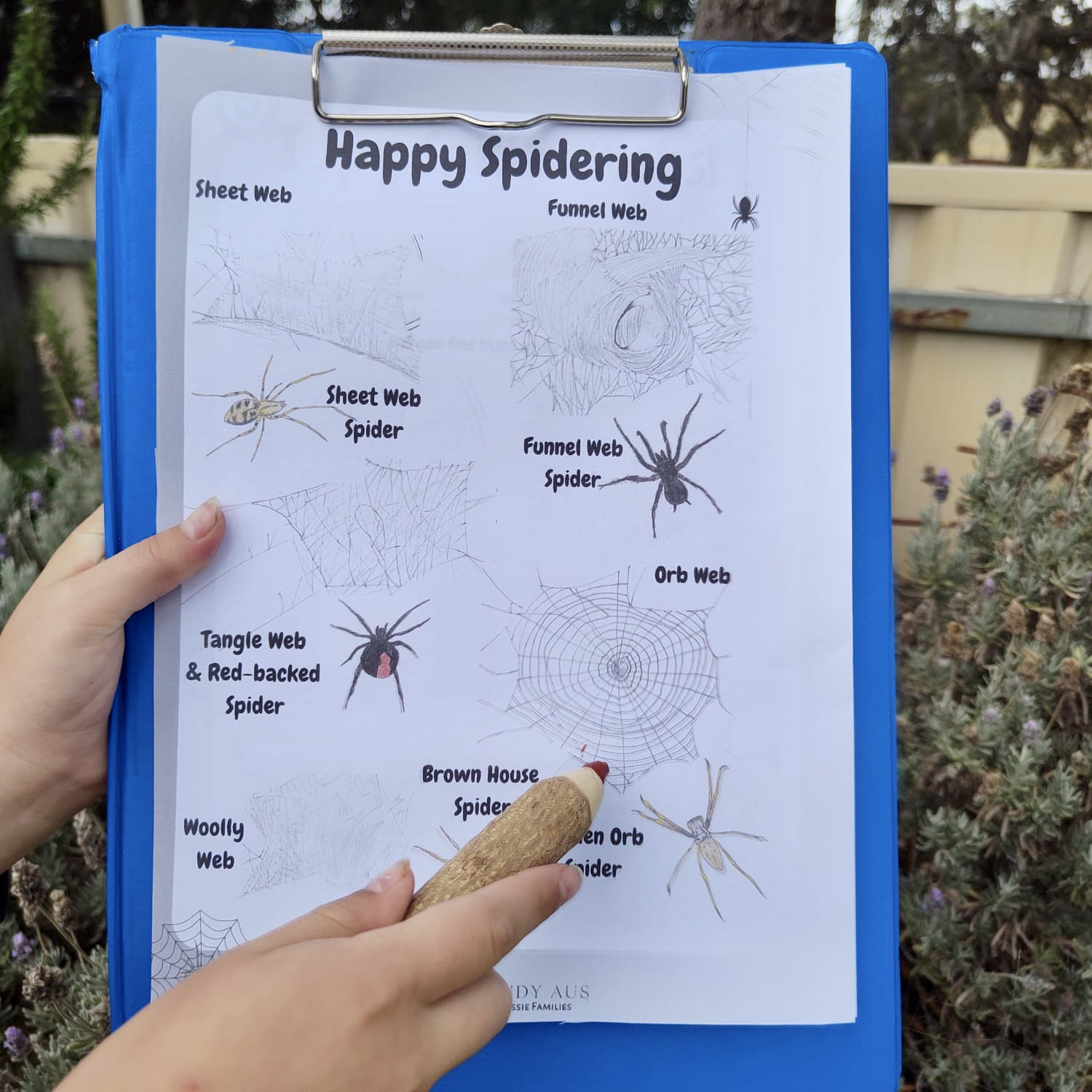 How do Spiders Make Webs?