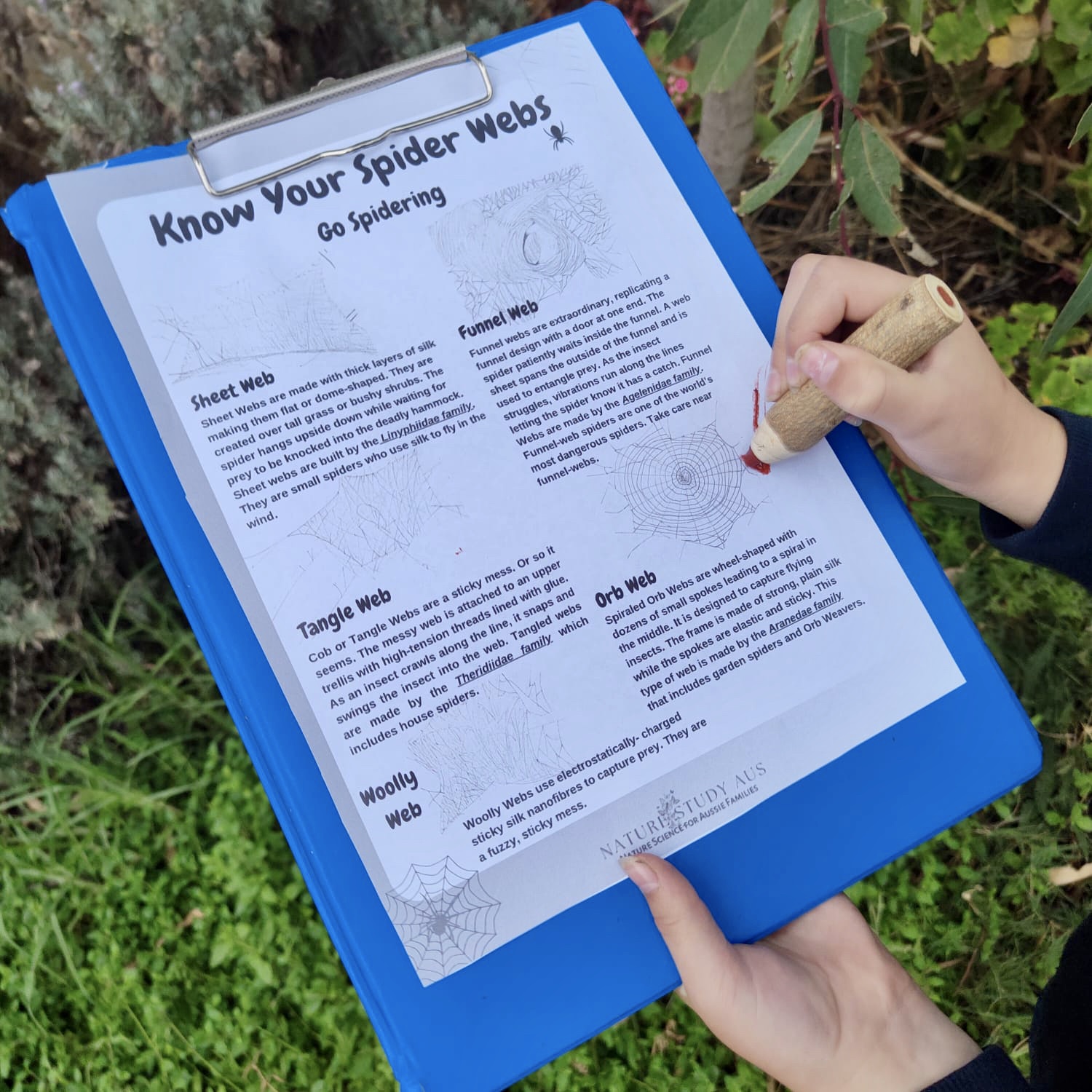 How to Identify Spider Webs