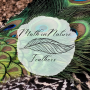 Mathematics and Bird Feathers