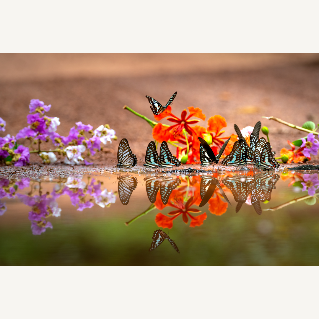 Playful Math Carnival 181